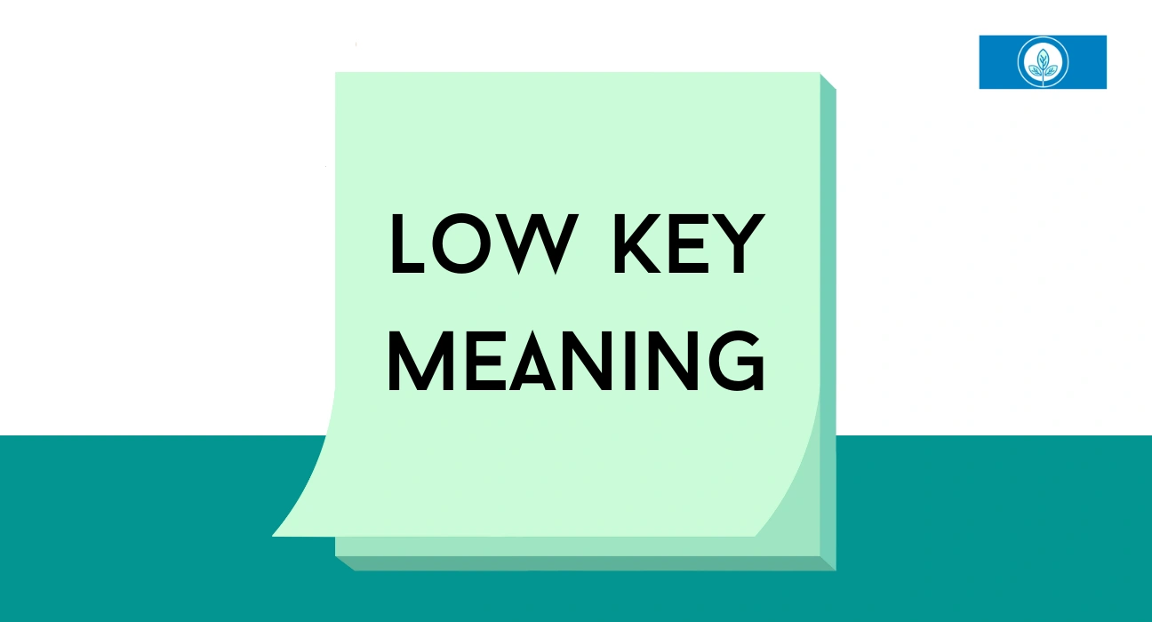 Low Key Meaning: How This Slang Term is Used Today - Spirit Means