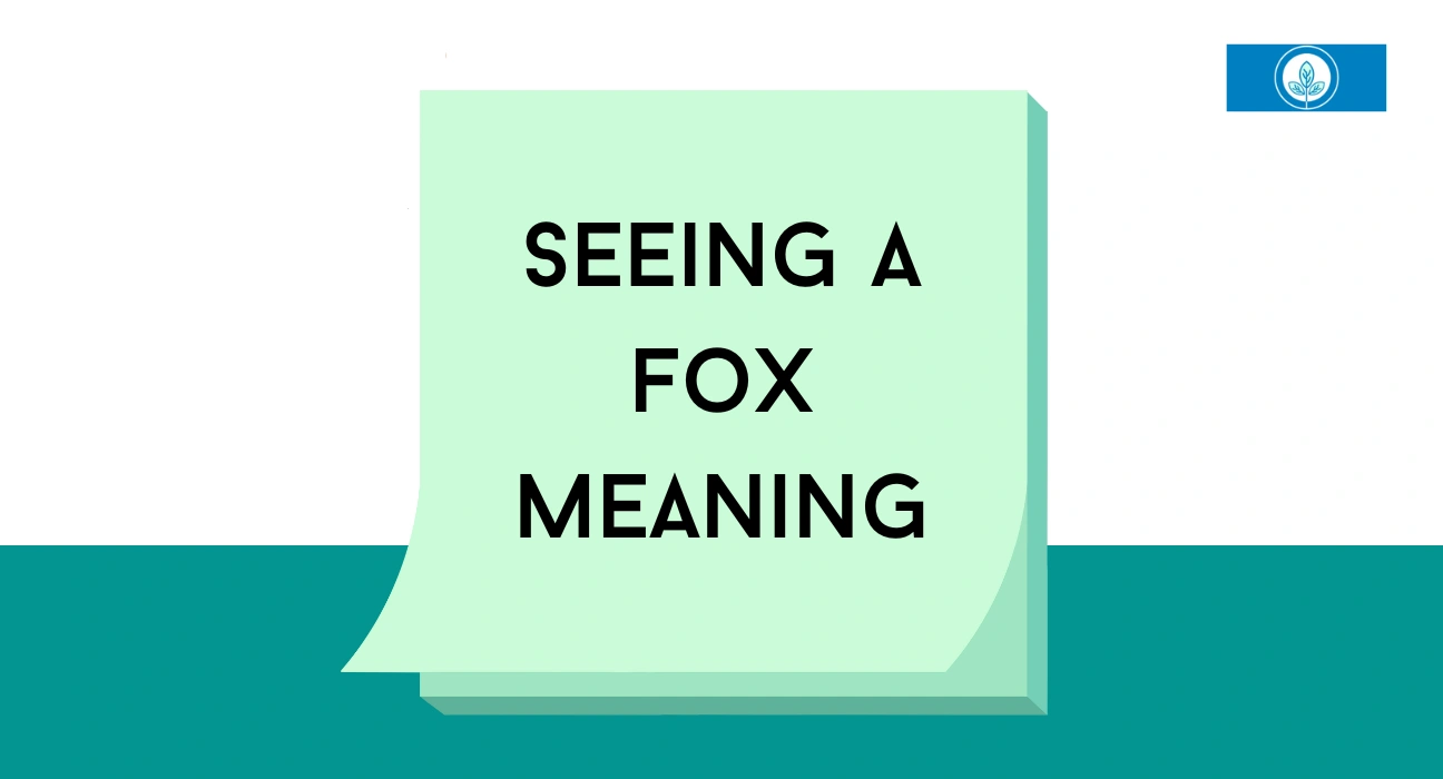 Seeing a Fox Meaning: Day vs. Night Sightings - Spirit Means
