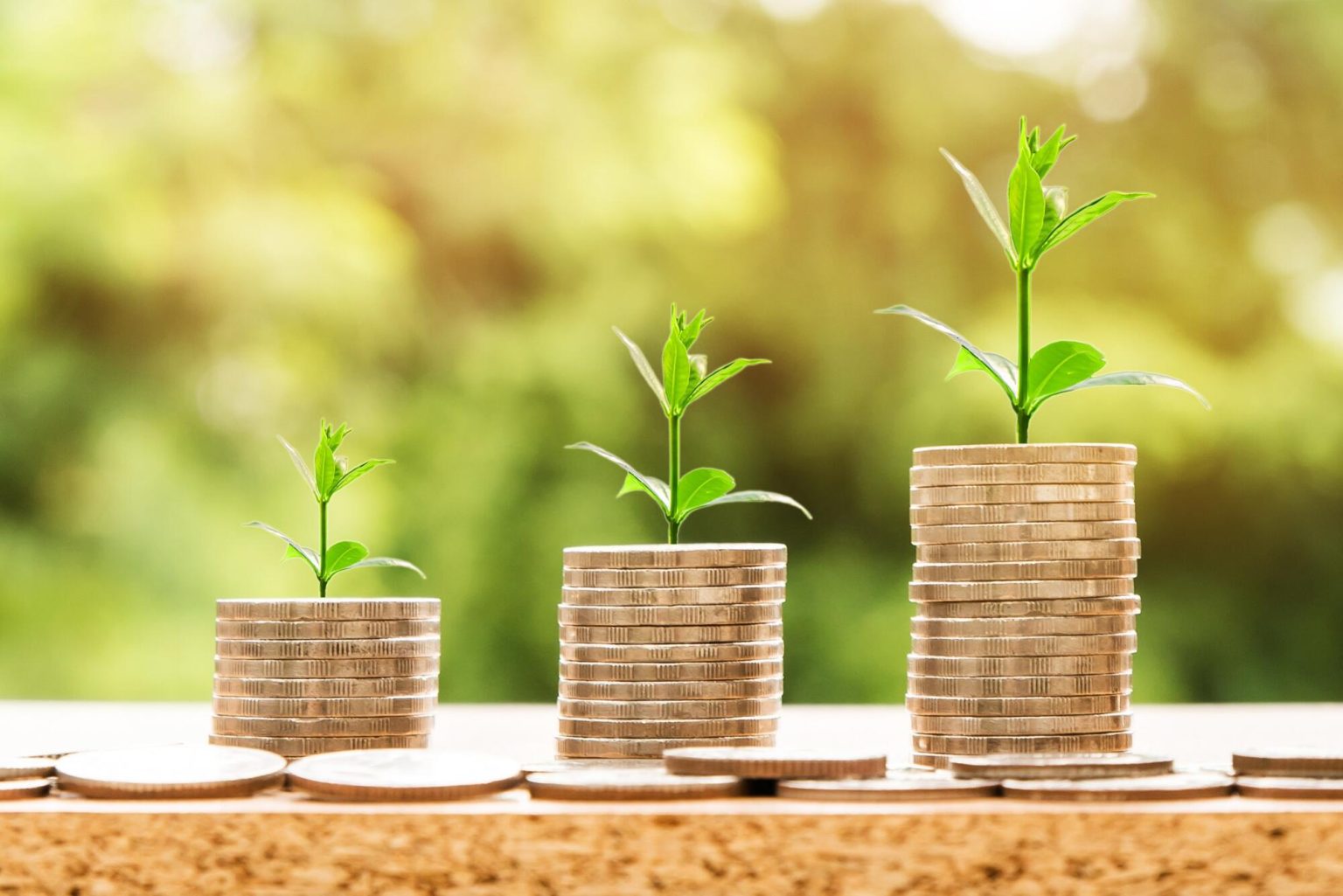 Safe Investment Strategies for Financially Independent Seniors - Spirit ...